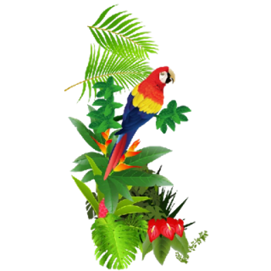 Download High Quality Animal clipart rainforest animals Transparent PNG ...