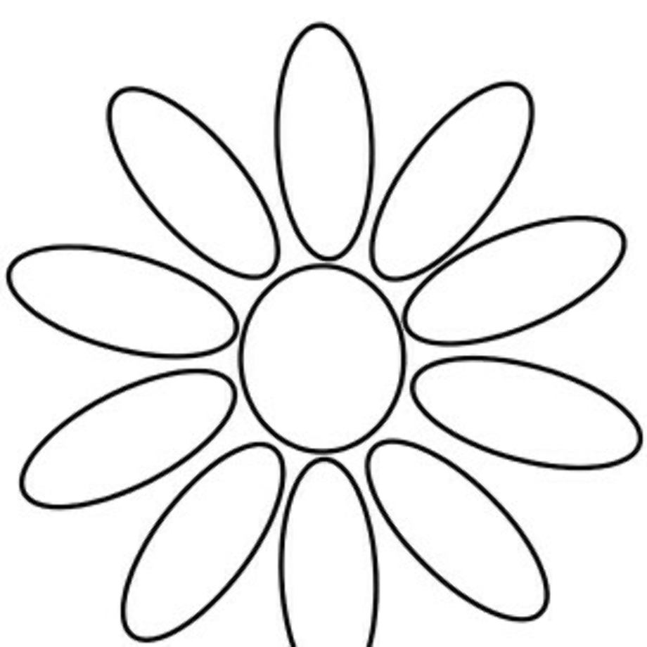 Download High Quality Daisy Clipart Petal Transparent PNG Images Art 
