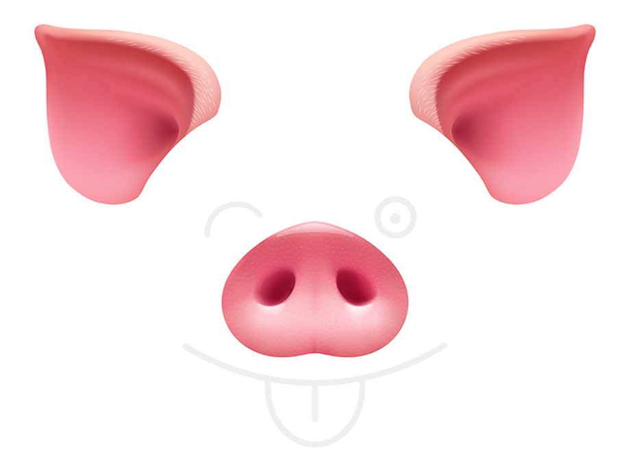 Download High Quality Ear Clipart Realistic Transparent PNG Images 