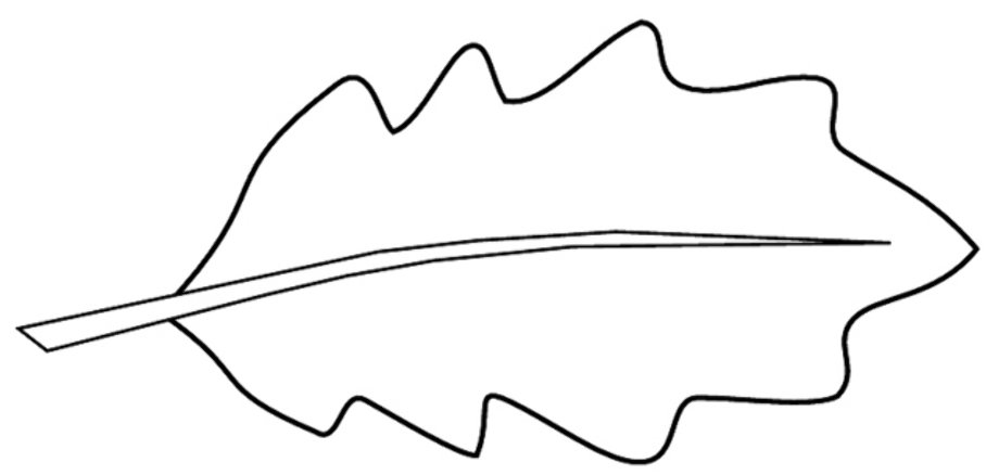 Download High Quality Leaf Clipart Outline Transparent PNG Images Art 