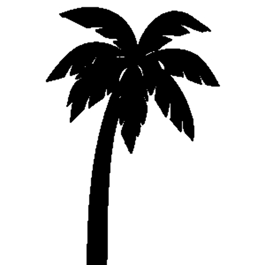 Download High Quality Palm Tree Clipart Black And White Transparent PNG Download High Quality Palm Tree Clipart Black And White Transparent PNG