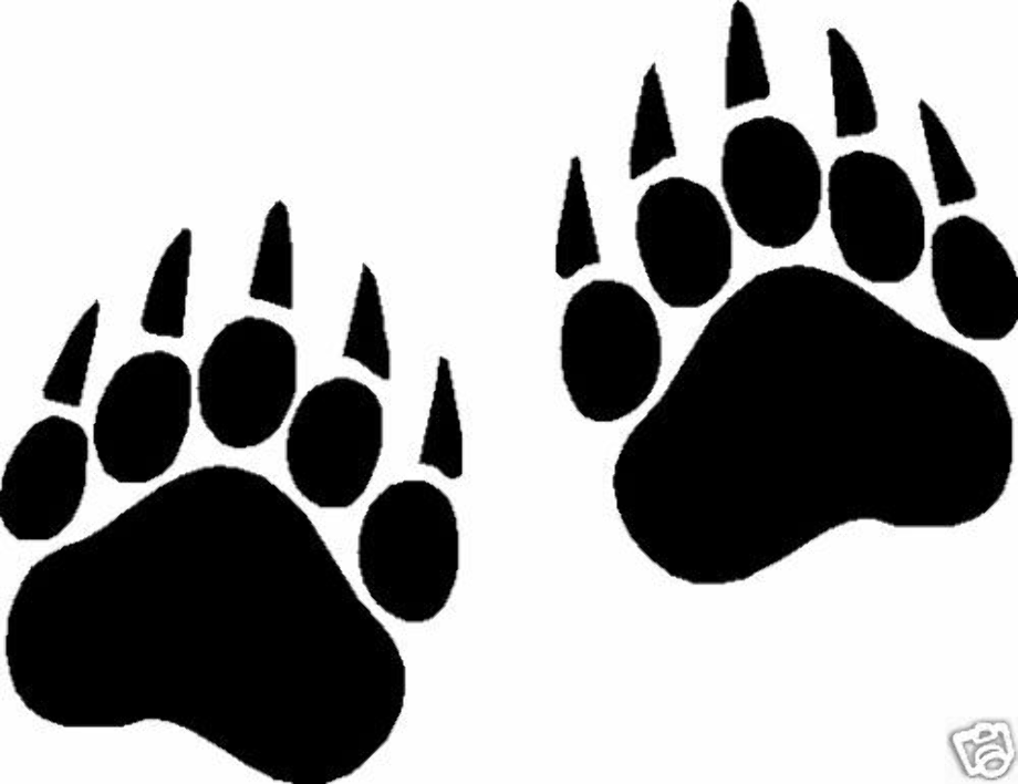 Download High Quality Paw Prints Clipart Bear Transparent PNG Images 