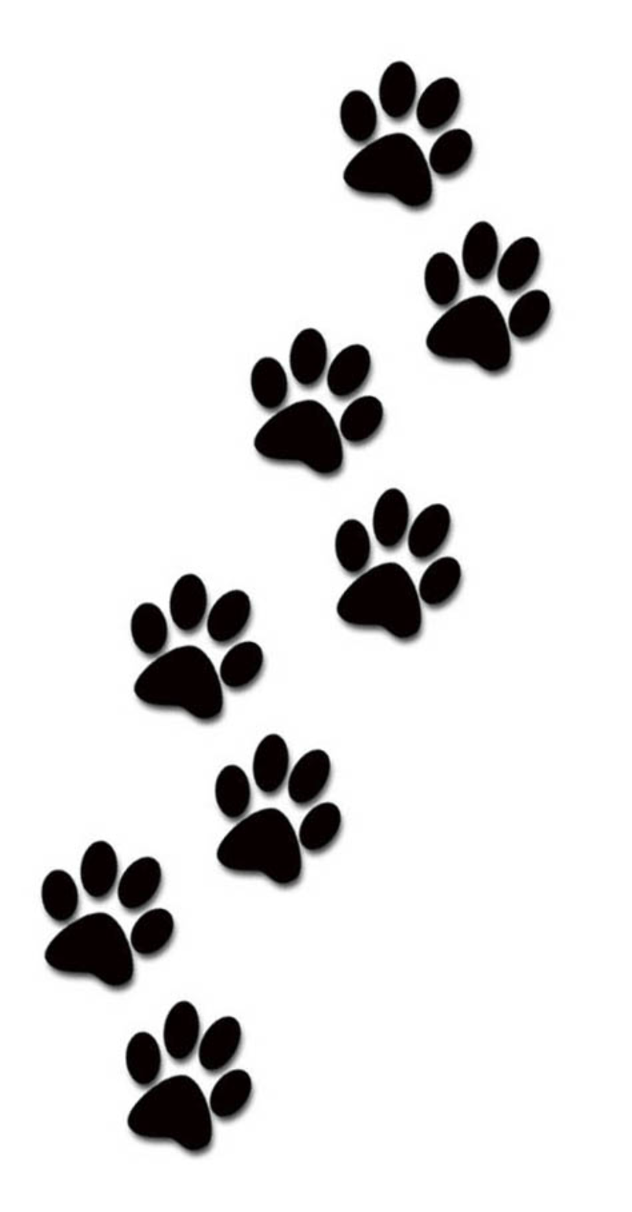 Download High Quality Paw Prints Clip Art Dog Transparent PNG Images Download High Quality Paw Prints Clip Art Dog Transparent PNG Images